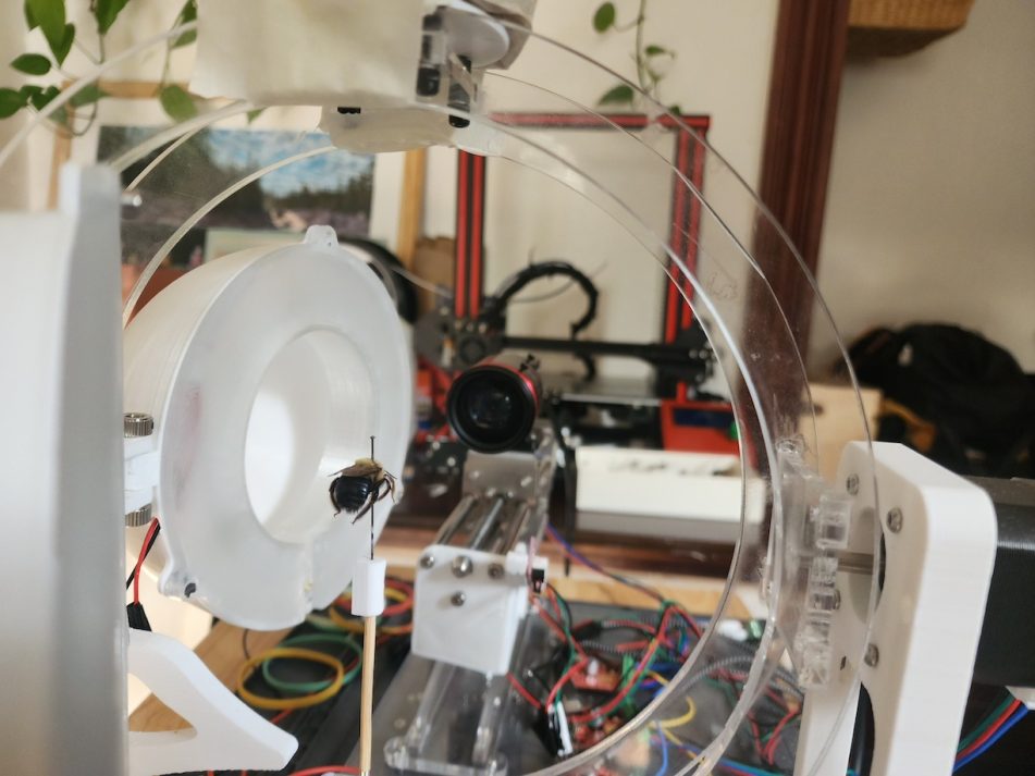 A Bug's Eye View - Innovative Media Research and Commercialization ...